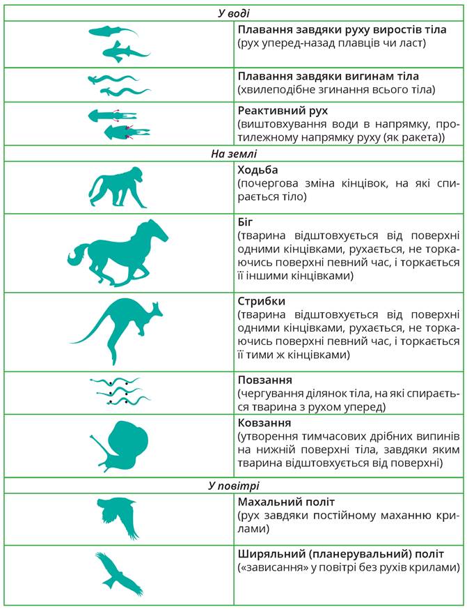 Класифікація та порівняння тварин за способом руху - Пізнаємо природу ...