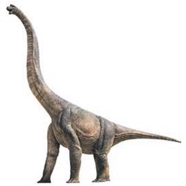 Рептилії. Різноманіття рептилій, роль і значення в екосистемах та житті ...