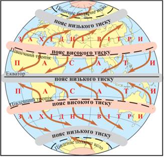Вітер: причини виникнення, напрямки, сила, швидкість. Роза вітрів ...
